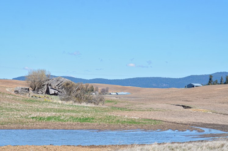 Barns of the Palouse – PalousePics.com